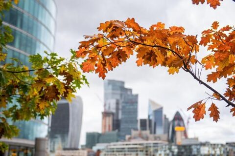 Phoenix, Scottish Widows, Royal London & Aegon Form Groundbreaking UK ...
